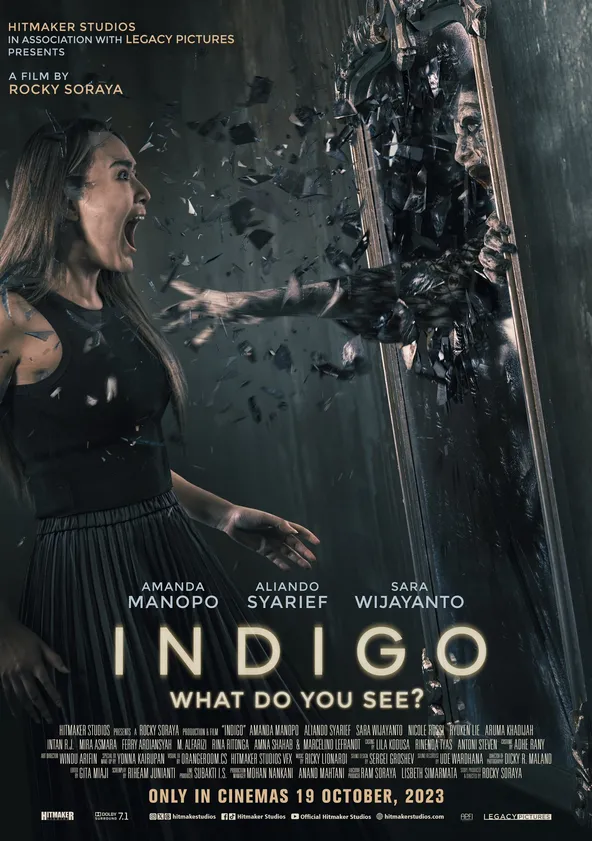 Indigo - streaming: gdzie obejrzeć film online?