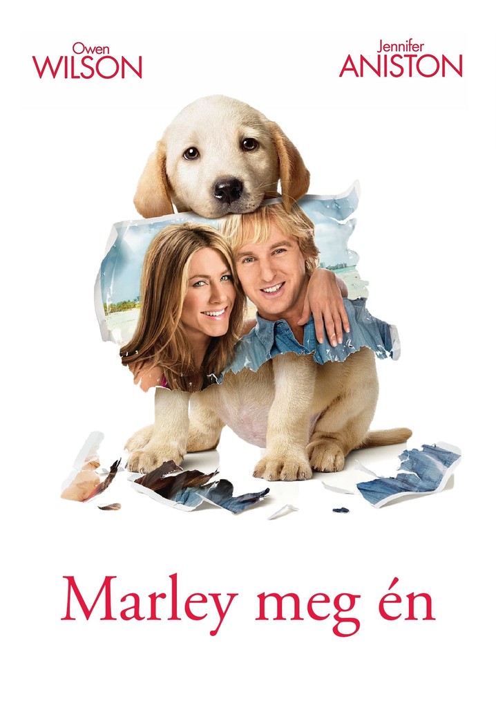 Marley Og Meg Filmplakat The Meg (2018) British Movie Poster