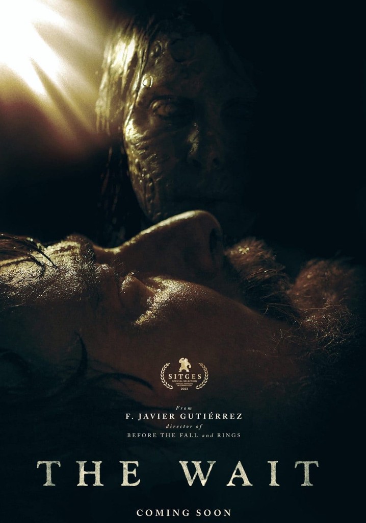 The Wait - film: dove guardare streaming online