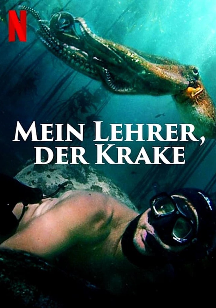 Mein Lehrer, der Krake - Stream: Jetzt Film online anschauen