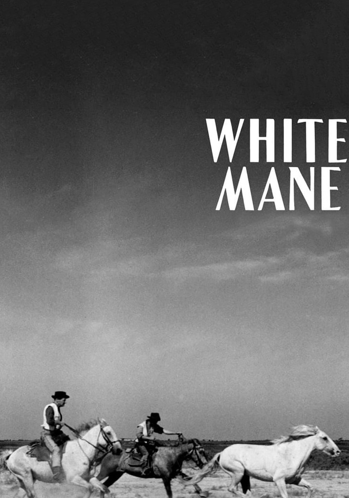 White Mane streaming: where to watch movie online?