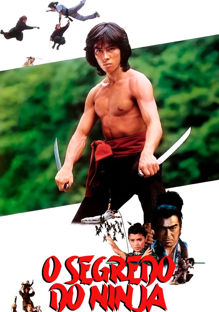 O Segredo do Ninja filme - Veja onde assistir