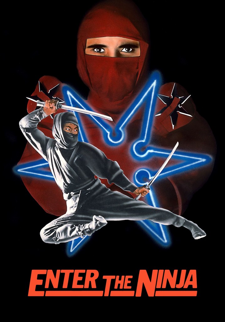 Regarder L'implacable ninja en streaming complet