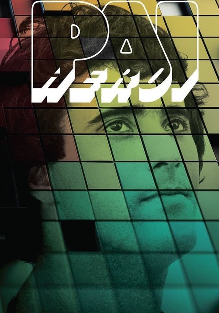 Donde assistir Pai Herói - ver séries online