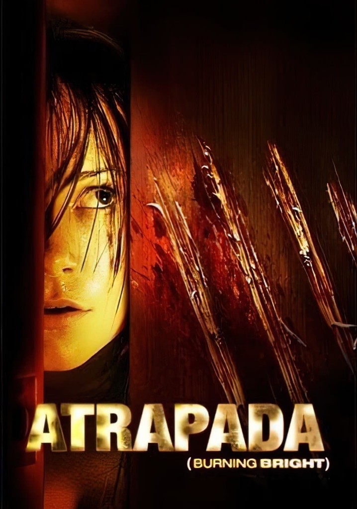 Atrapada - película: Ver online completa en español