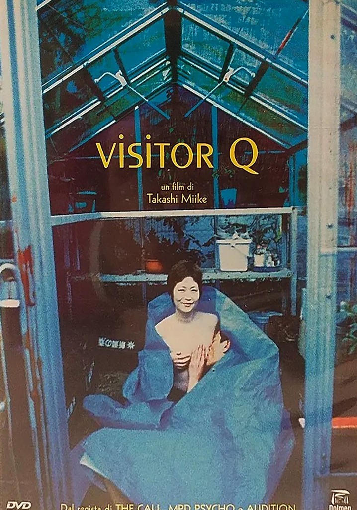 Visitor Q - film: dove guardare streaming online