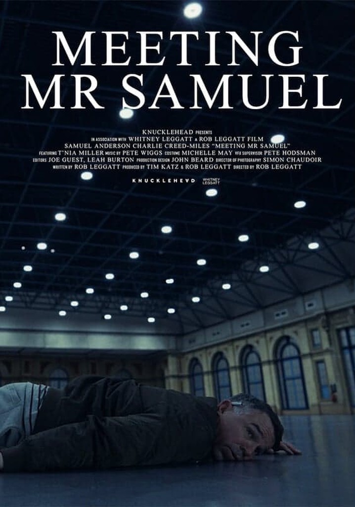 Meeting Mr Samuel - film: guarda streaming online