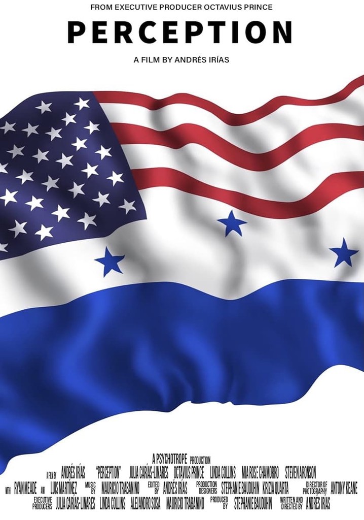 Perception streaming: where to watch movie online?