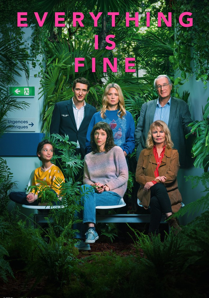 Everything Is Fine - streaming tv show online