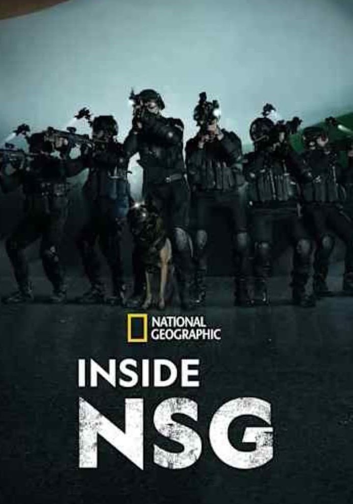 Inside NSG streaming: where to watch movie online?