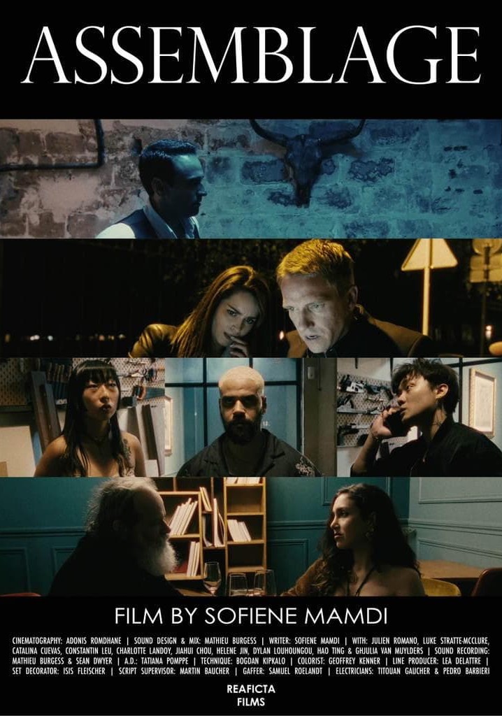 Assemblage streaming: where to watch movie online?