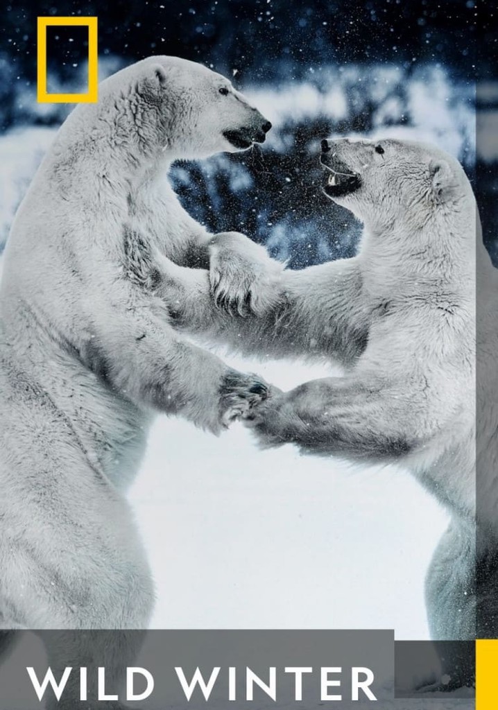 Wild Winter - watch tv show streaming online