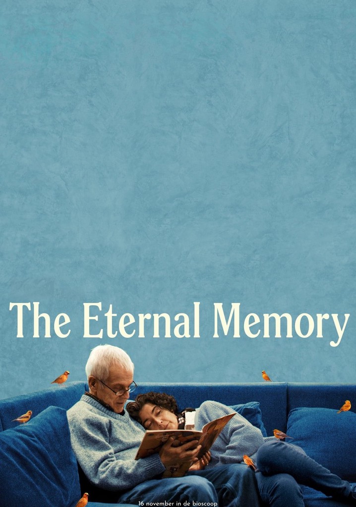 The Eternal Memory streaming: where to watch online?