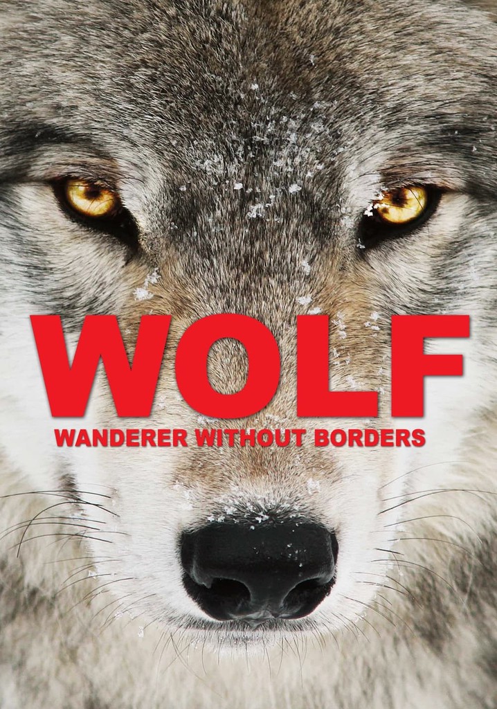 Wolf - película: Ver online completa en español