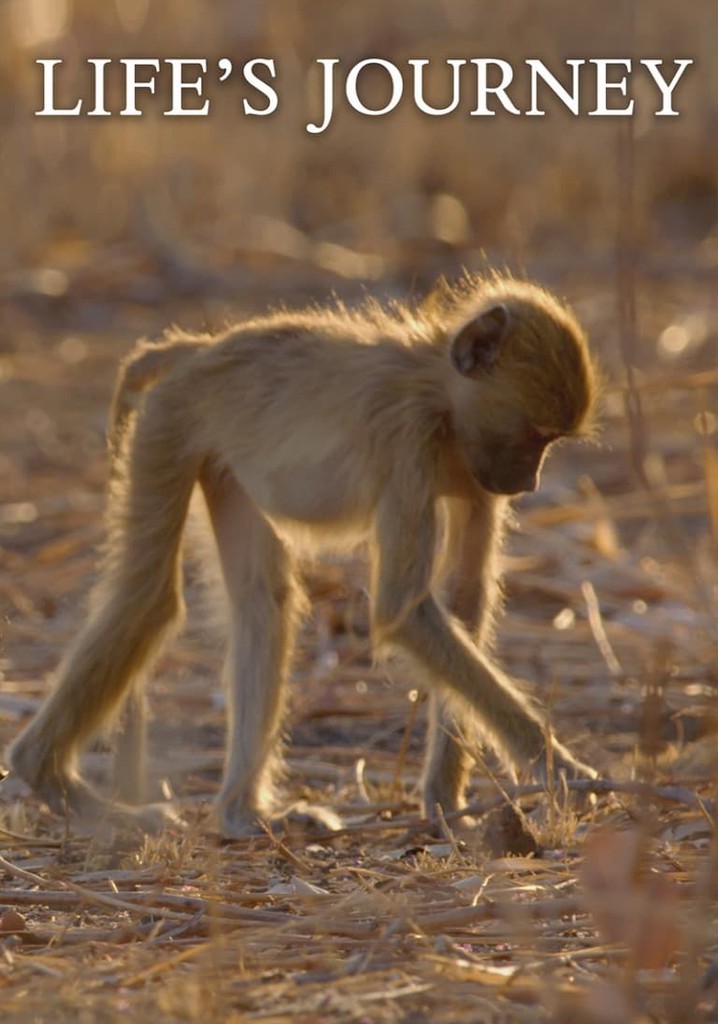 Life's Journey - stream tv show online