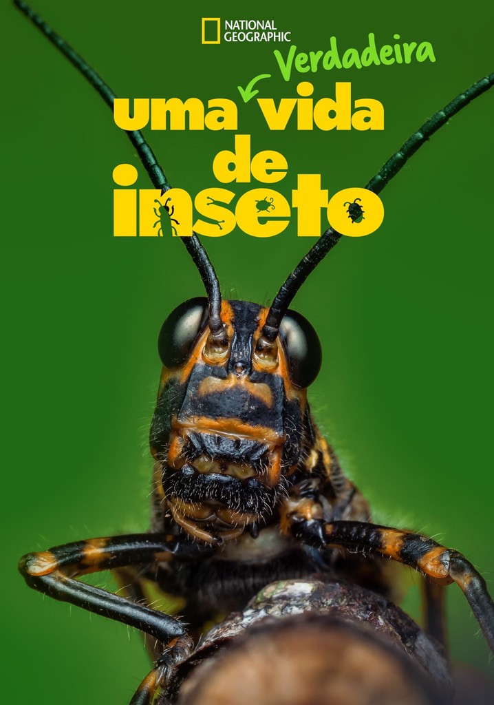 Assistir Uma Verdadeira Vida de Inseto - séries online Assistir Uma Verdadeira Vida de Inseto - séries online