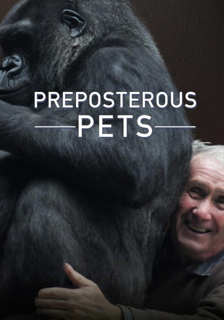 Preposterous Pets - streaming tv show online