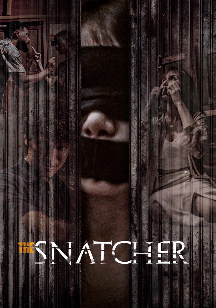 The Snatcher streaming: where to watch movie online?