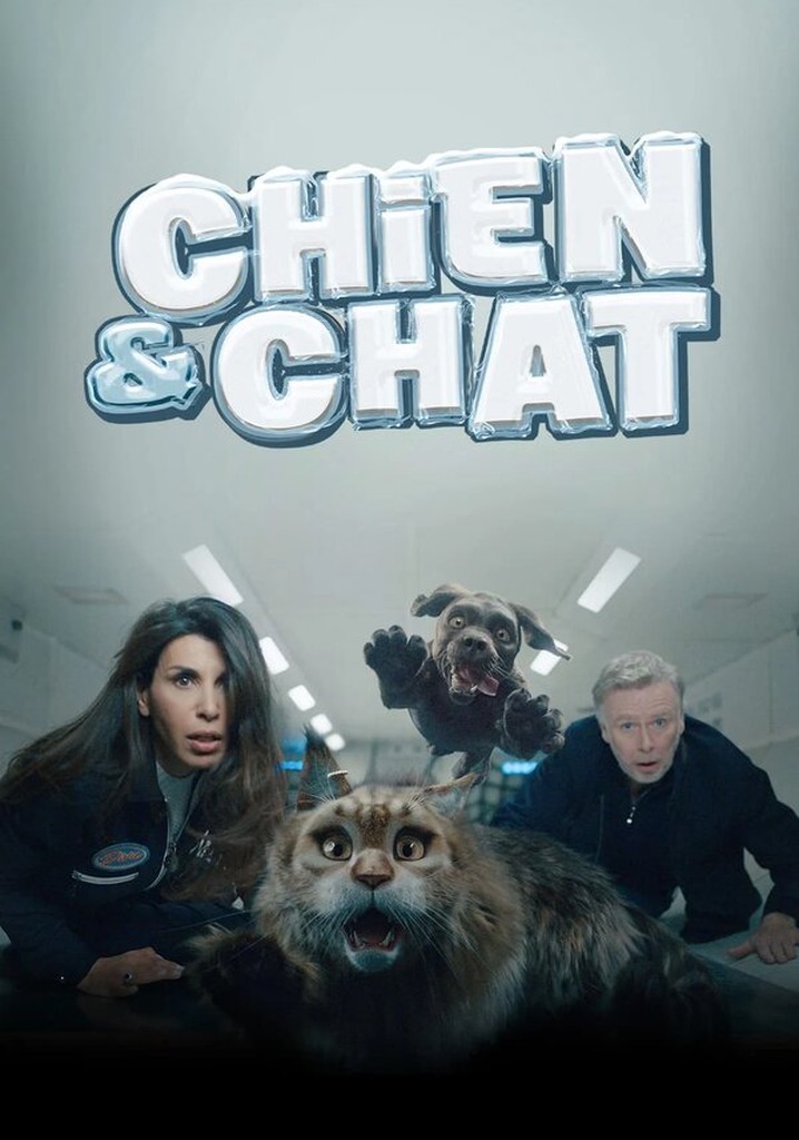 Chien et chat - película: Ver online en español