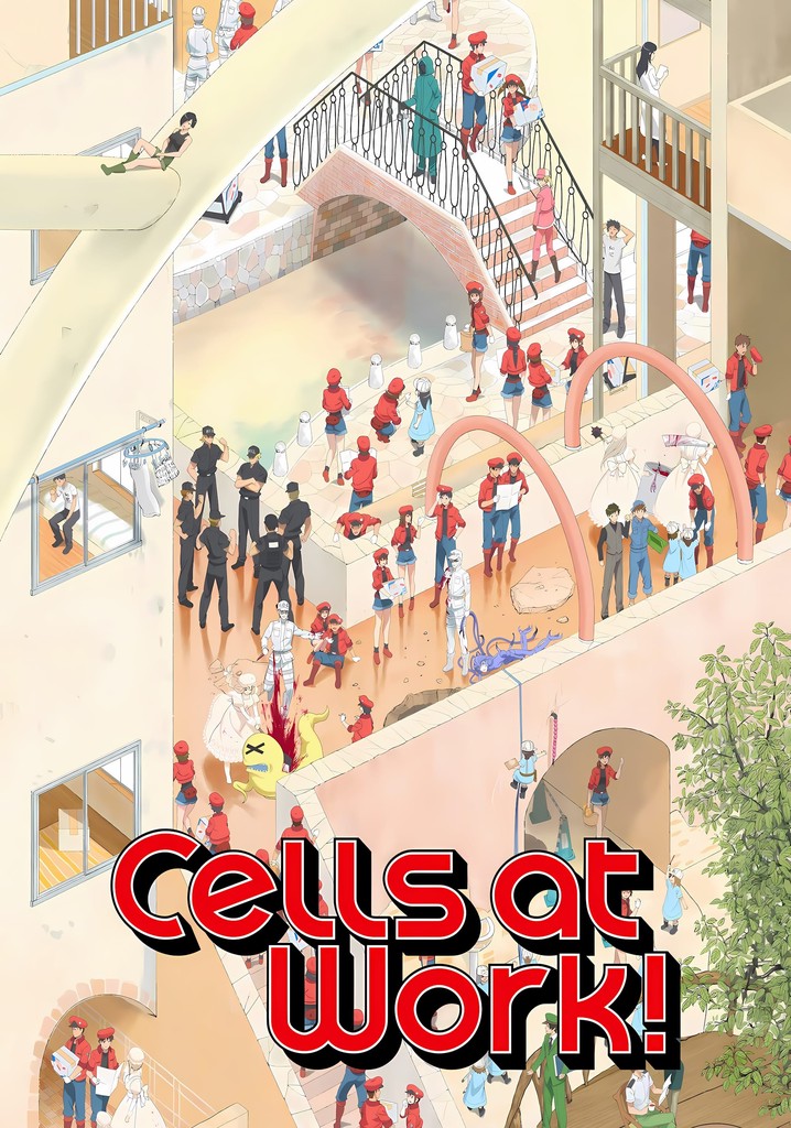 Cells at Work! Season 1 - watch episodes streaming online