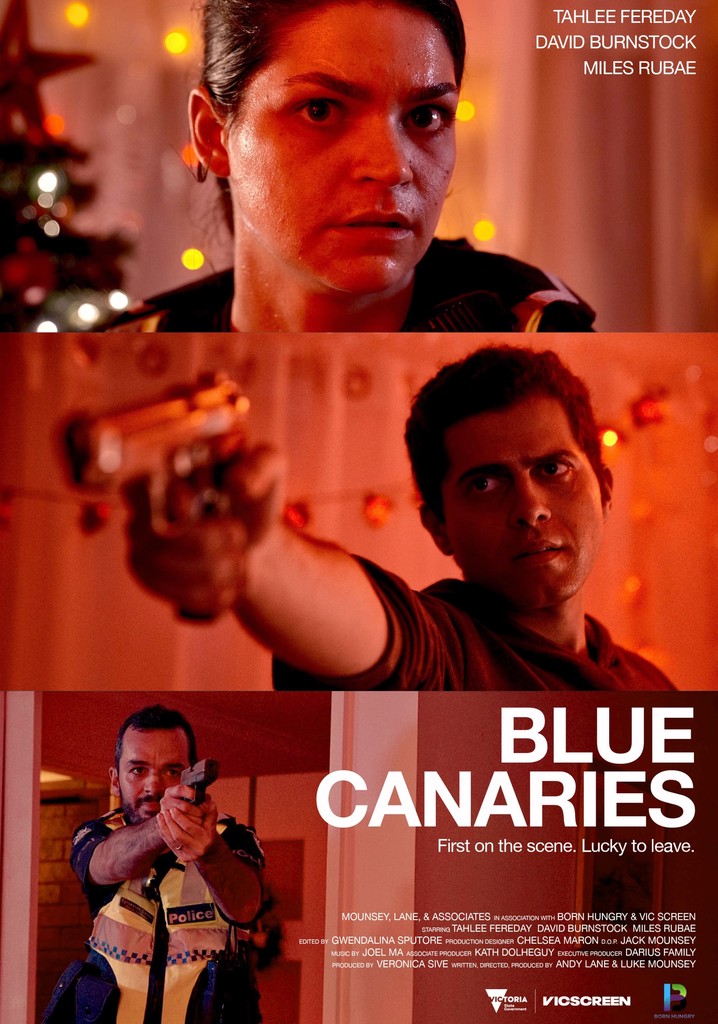 Blue Canaries streaming: where to watch online?