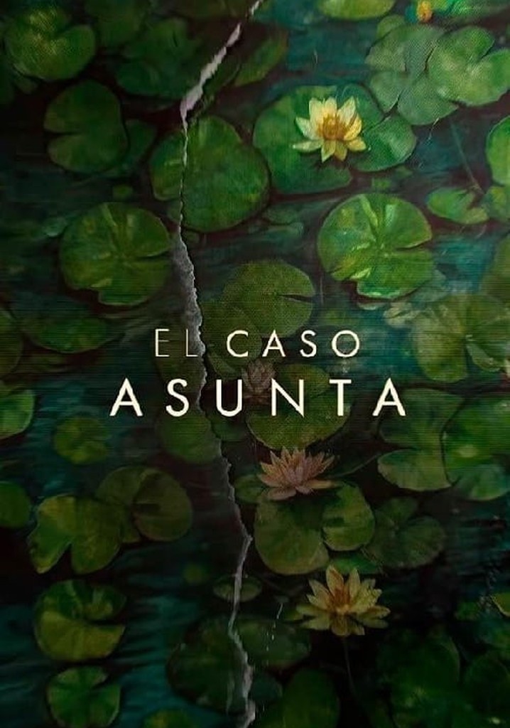 El caso Asunta temporada 1 - Ver episodios online