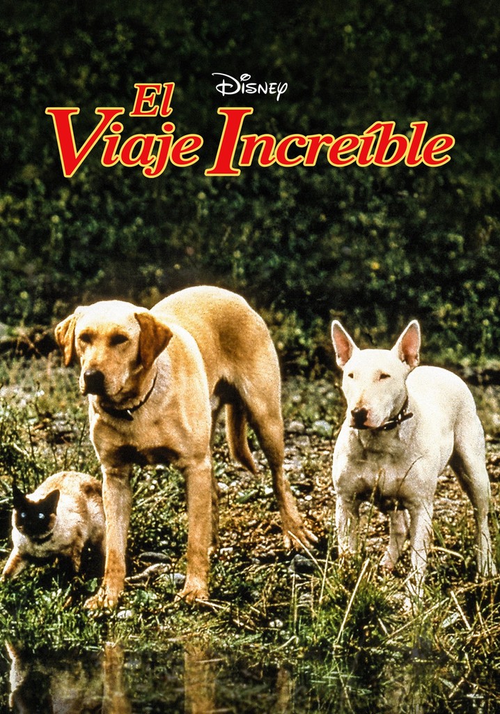 El viaje increible - película: Ver online en español
