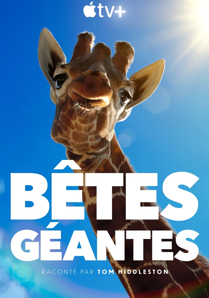 Saison 1 Big Beasts : sur les traces des géants streaming: où regarder les épisodes?