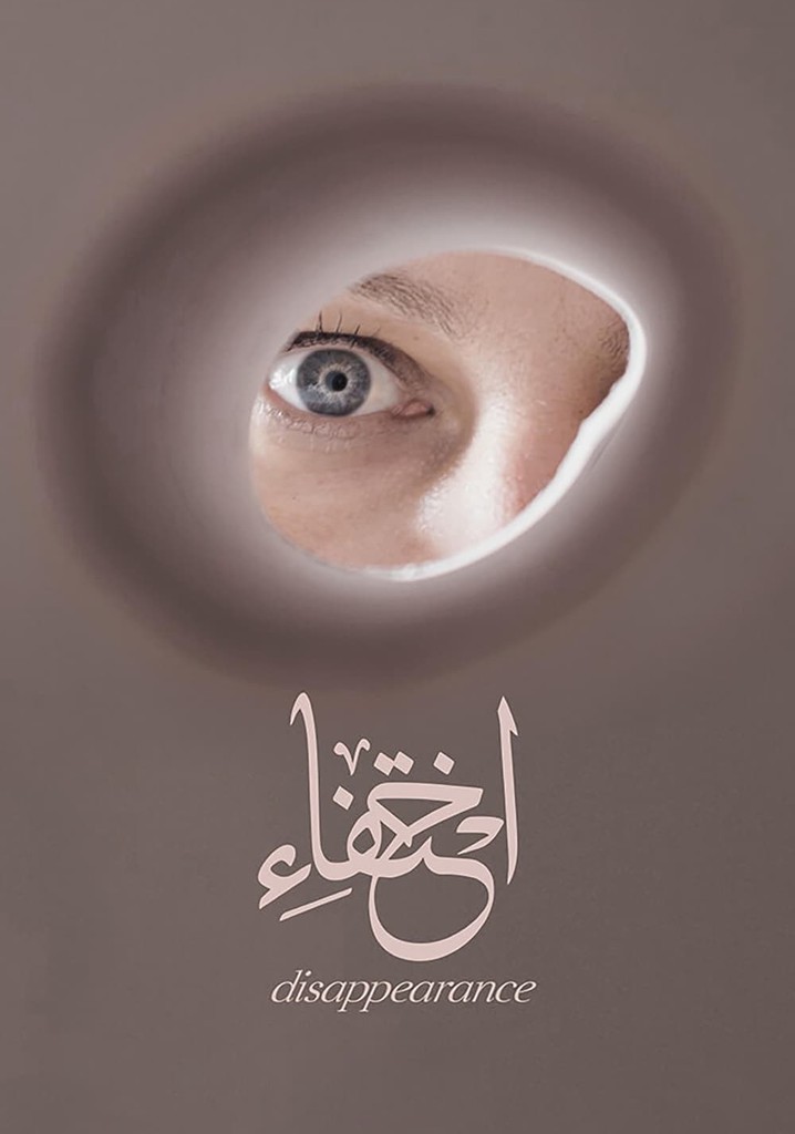 Disappearance - película: Ver online en español