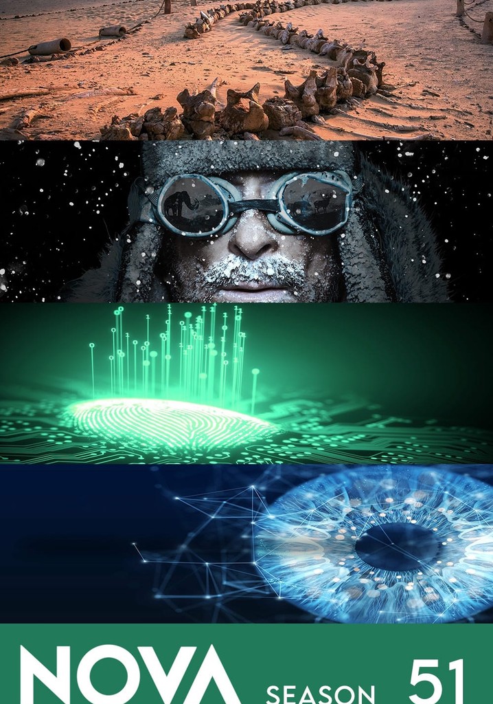 Nova Season 51 - watch full episodes streaming online