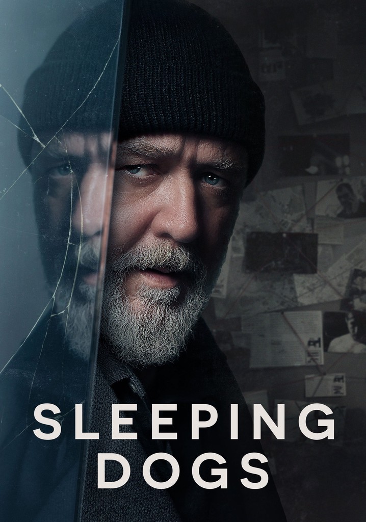 Sleeping Dogs yayını: İnternette nereden izlenir?