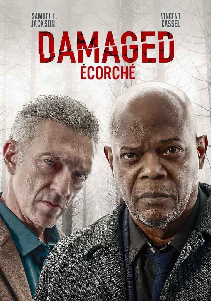 Où regarder Damaged en streaming complet et légal