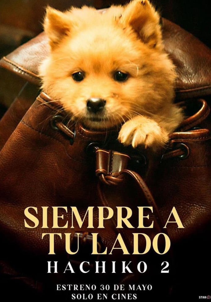 Hachiko Film Trama Completa at Tayla Bruton blog