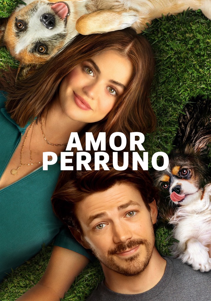 Amor perruno - película: Ver online completa en español