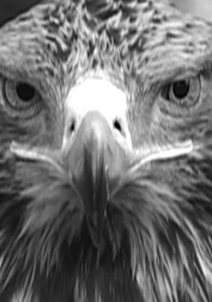 Dodge Ram - Stream: Jetzt Film online finden und anschauen