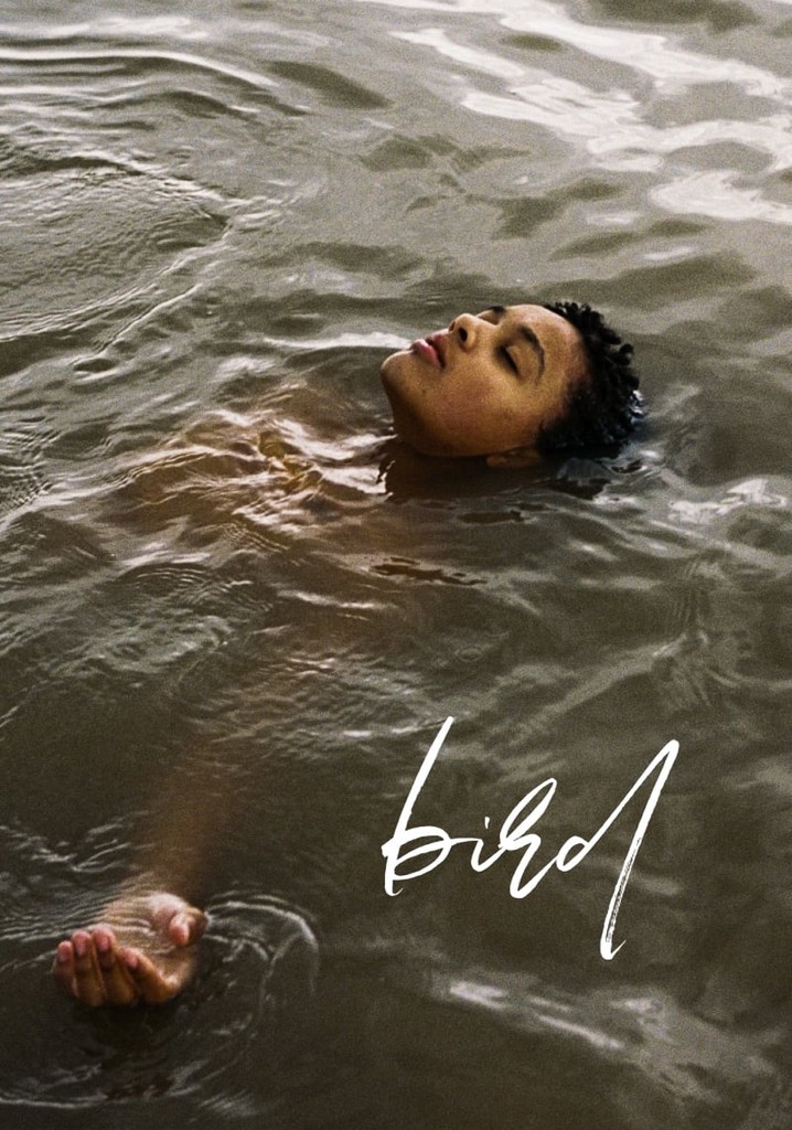 Bird - película: Ver online completa en español
