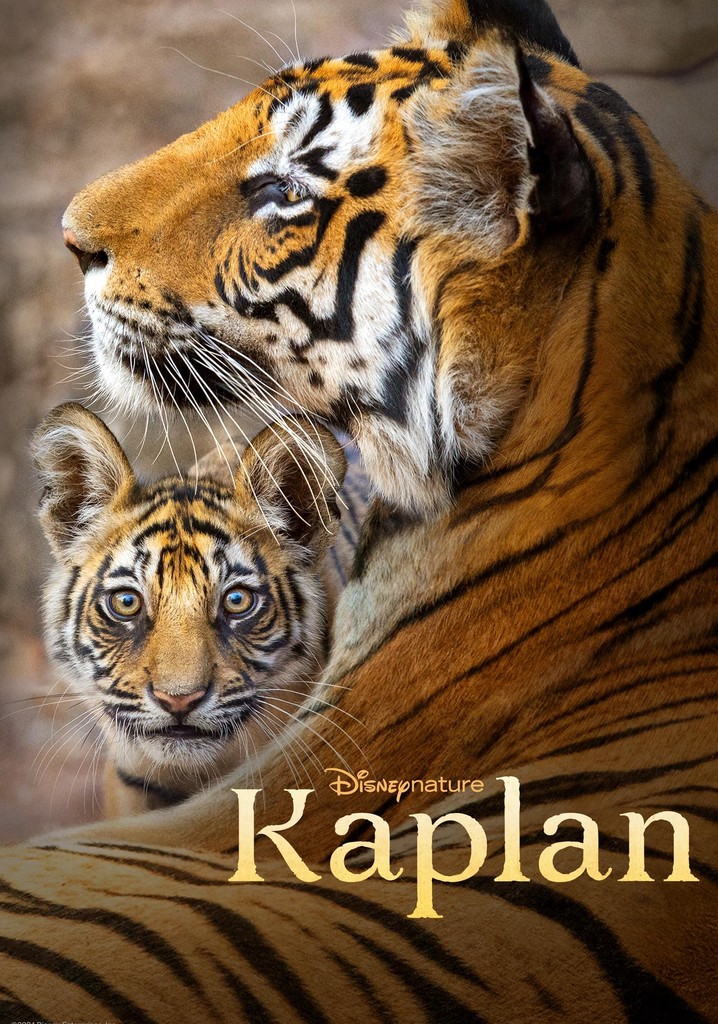 Kaplan yayını: İnternette nereden film izlenir?