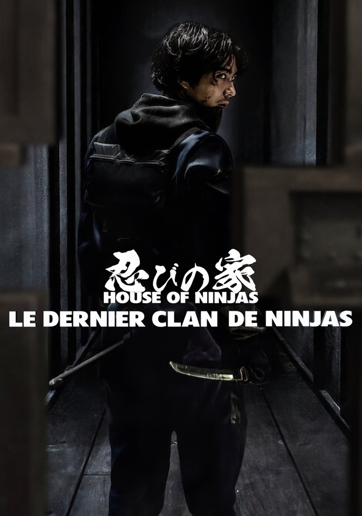 Regarder la série House of Ninjas streaming