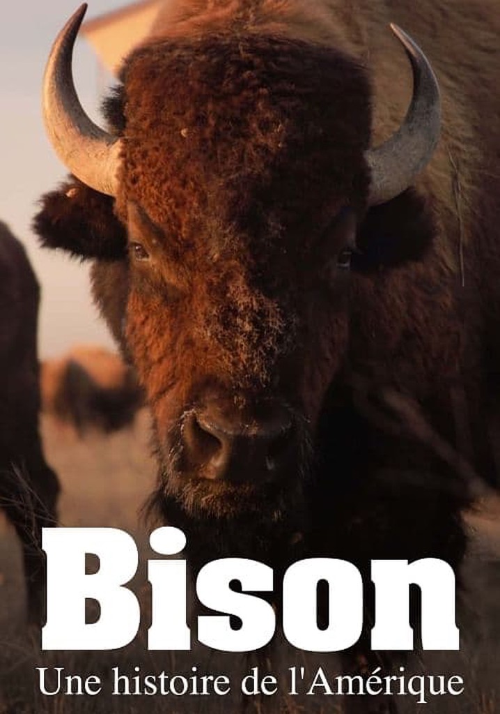 Saison 1 Bison : une histoire de l'Amérique streaming