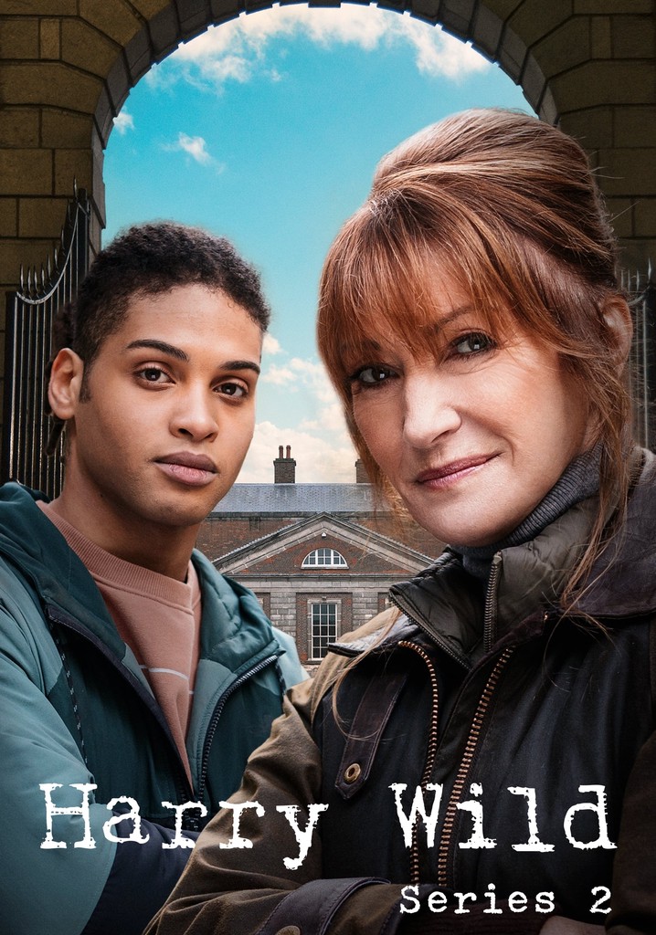 Harry Wild temporada 2 - Ver todos los episodios online