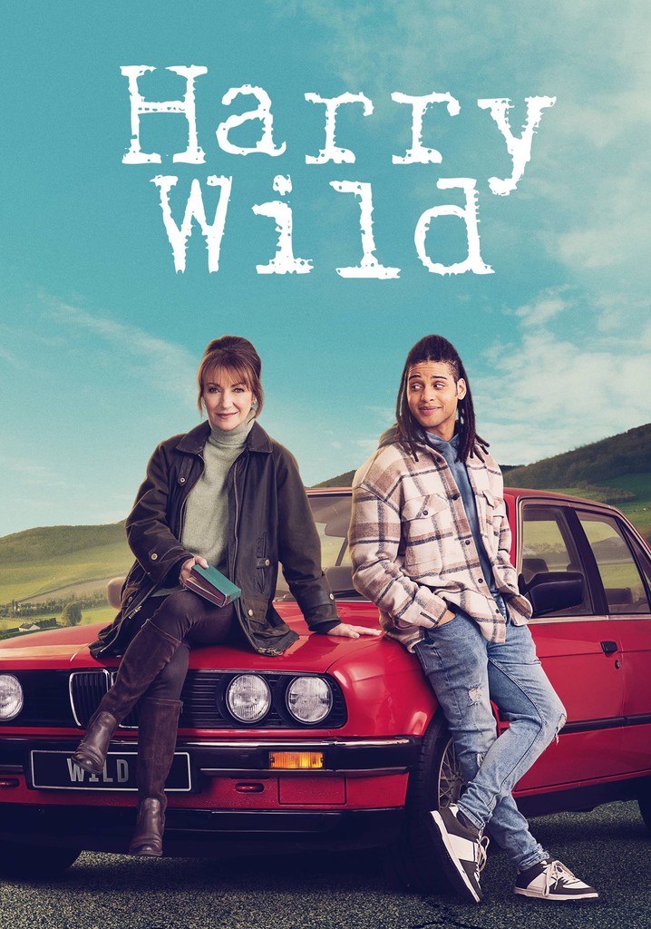 Harry Wild temporada 3 - Ver todos los episodios online