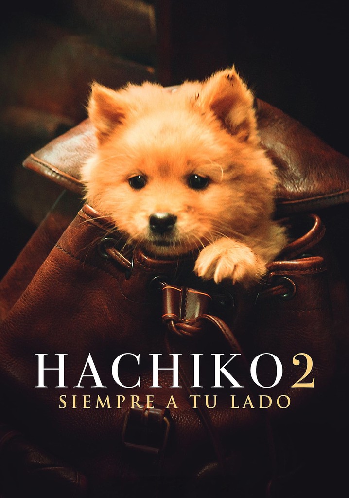 Hachiko - película: Ver online completa en español