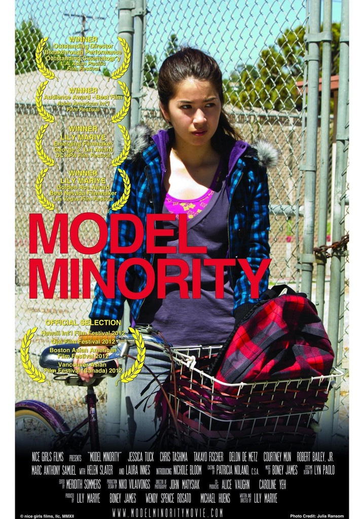 Model Minority filme - Veja onde assistir