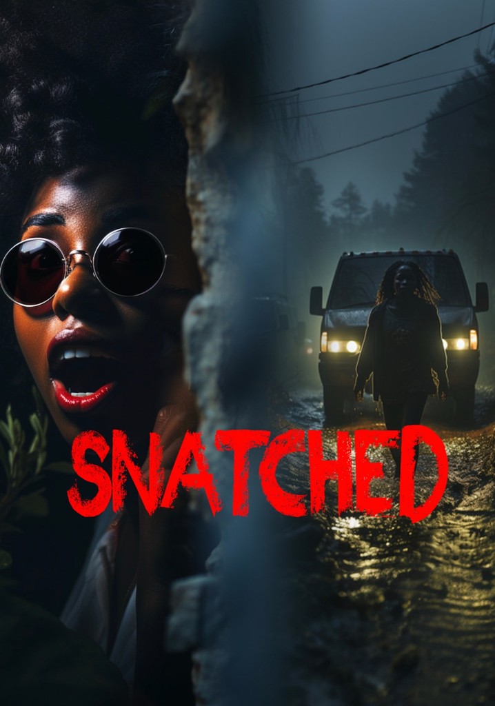Snatched streaming: where to watch movie online?