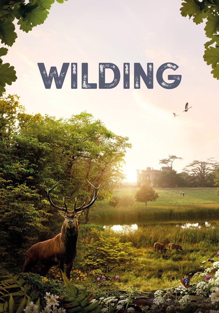 Wilding - movie: where to watch stream online