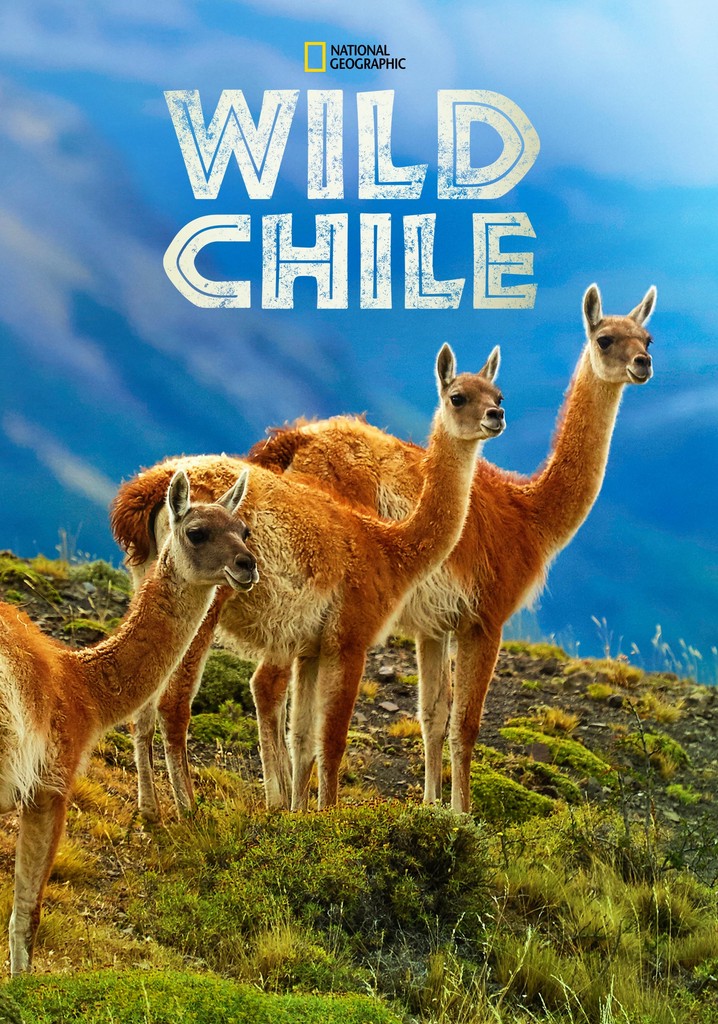 Wild Chile - watch tv show streaming online