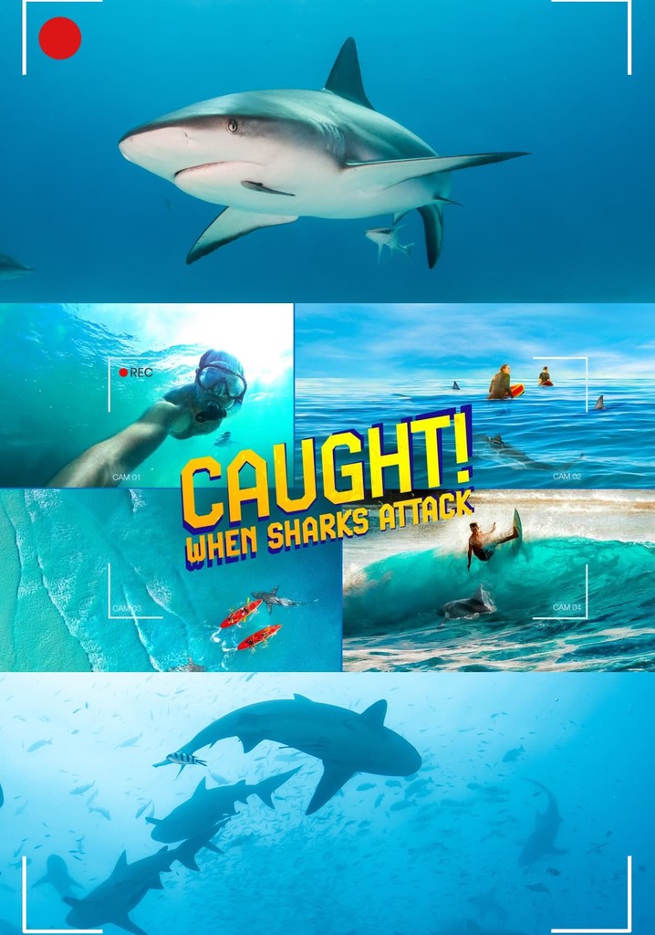 When Sharks Attack filme - Veja onde assistir