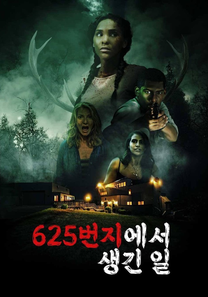 625번지에서 생긴 일 영화 스트리밍으로 보기