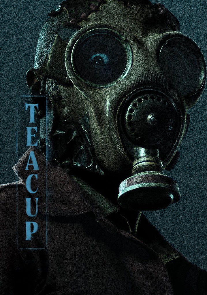 Où regarder la série Teacup en streaming