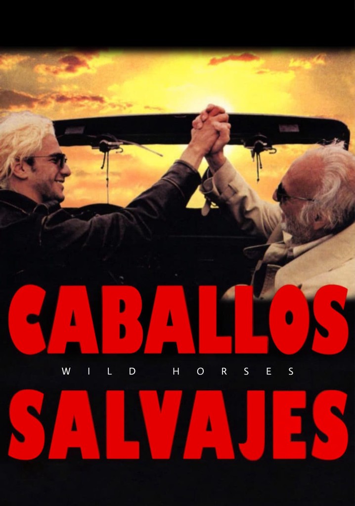 Caballos salvajes - película: Ver online en español